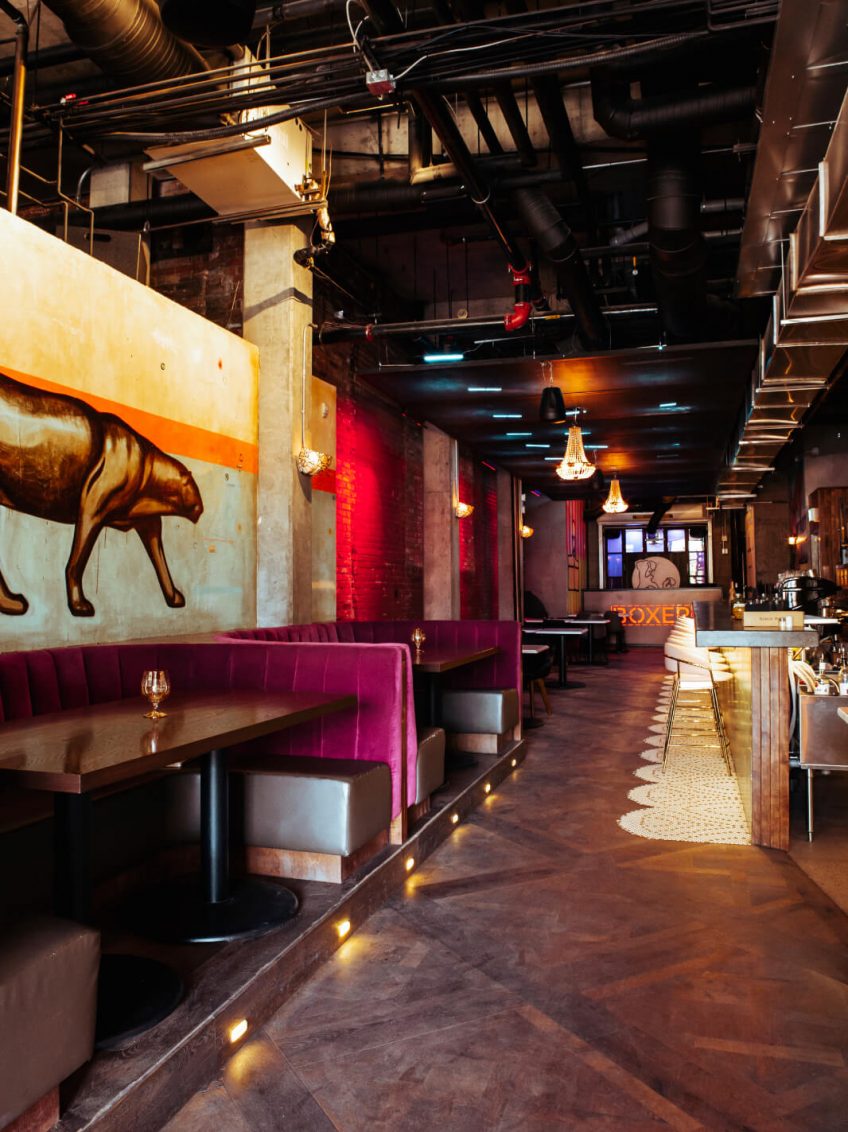 Boxer Gives Whyte Ave a Shot in the Arm - Modern Luxuria